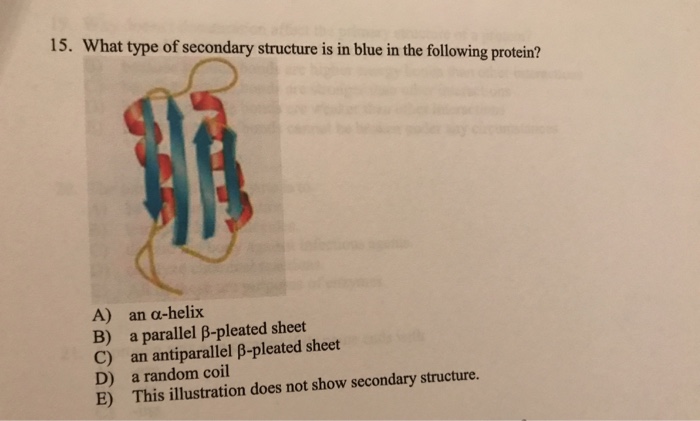 Solved 15. What type of secondary structure is in blue in | Chegg.com