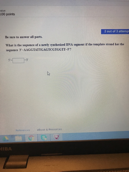 Solved What is the sequence of a newly synthesized DNA | Chegg.com