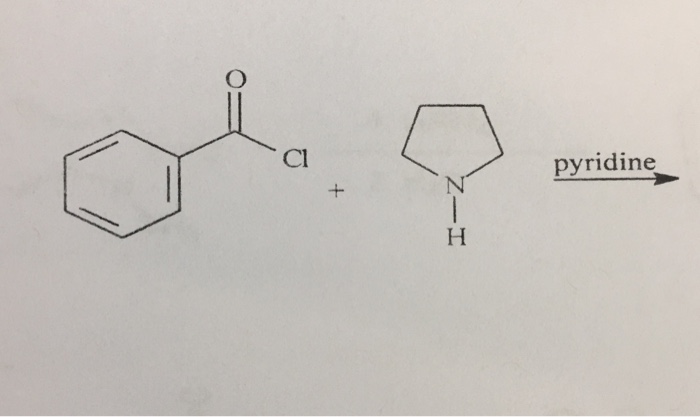 Solved Cl pyridine | Chegg.com