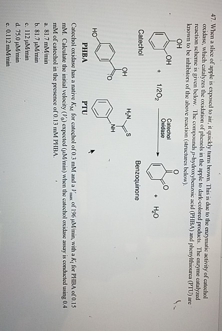 Solved 47. When a slice of apple is exposed to air, it | Chegg.com