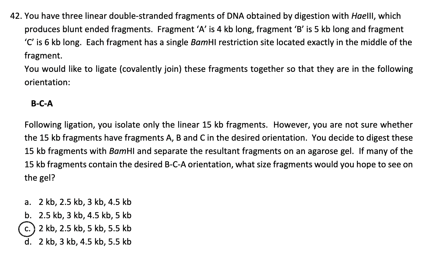 Solved 2. You have three linear double-stranded fragments of | Chegg.com