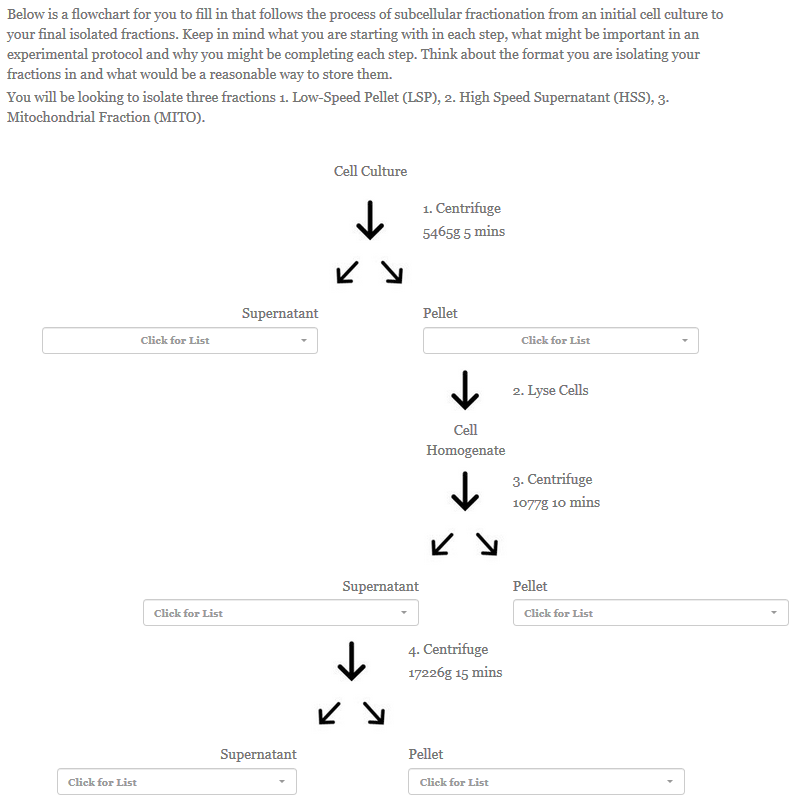 Solved The options for the drop-down lists are: - Discard - | Chegg.com