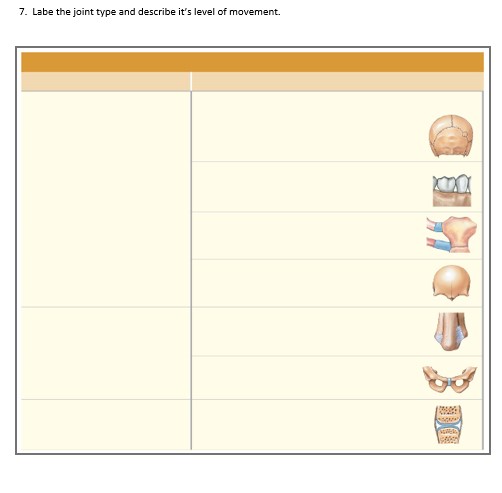 Solved Labe the joint type and describe it's level of | Chegg.com
