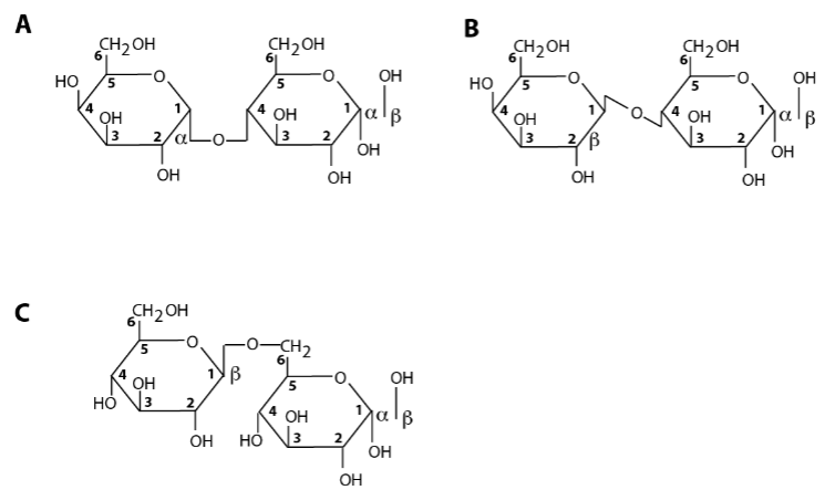 Solved The structure of simple polysaccharides can be | Chegg.com