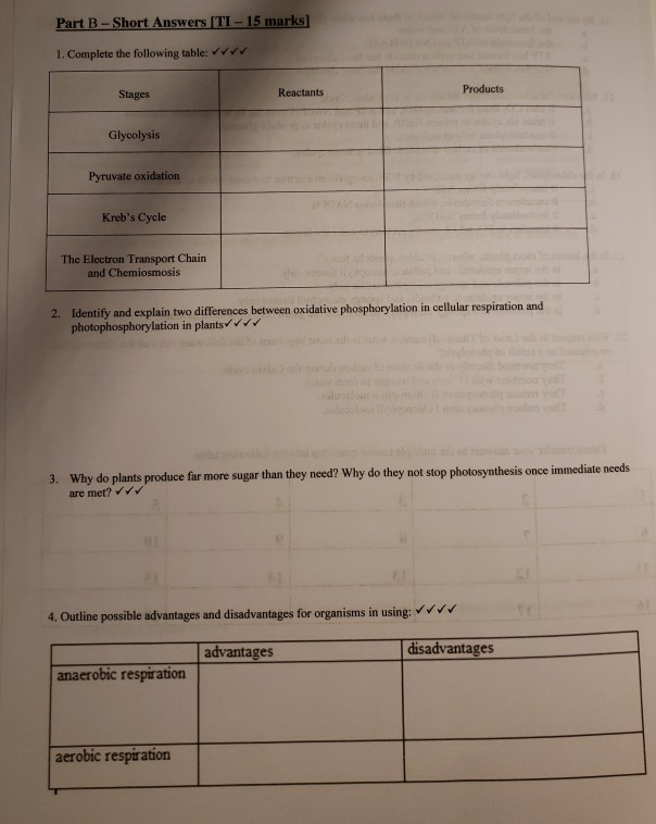 Solved Part B - Short Answers (TI - 15 marks] 1. Complete | Chegg.com
