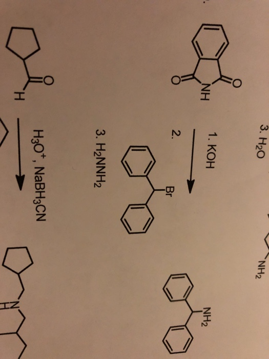 Solved 3. H20 NH 2 1. KOH NH2 NH 2. Br 3. H2NNH2 НЗО", | Chegg.com
