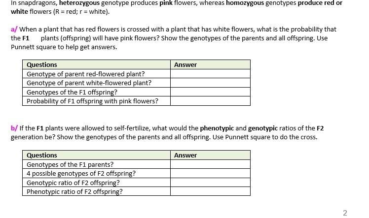 Solved In snapdragons, heterozygous genotype produces pink | Chegg.com