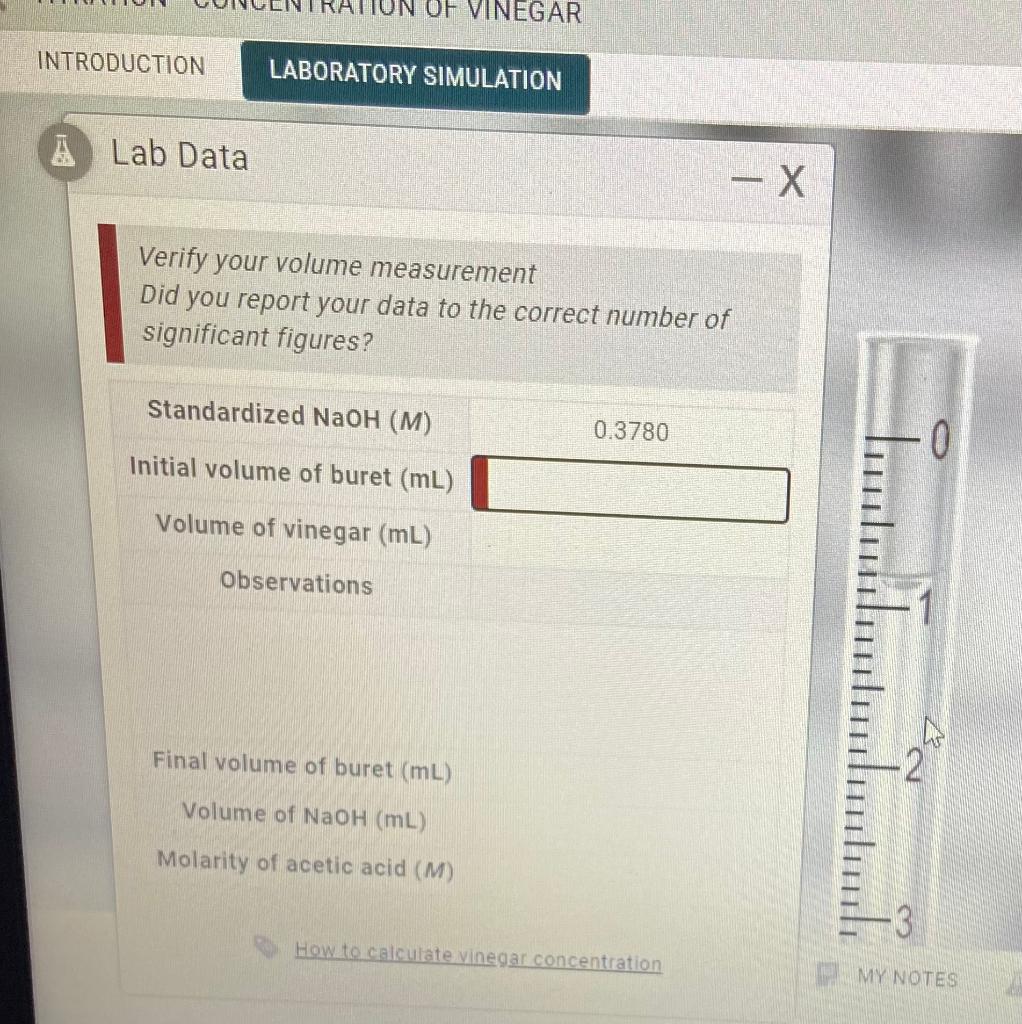 Please help. First, I don't know what I am doing | Chegg.com