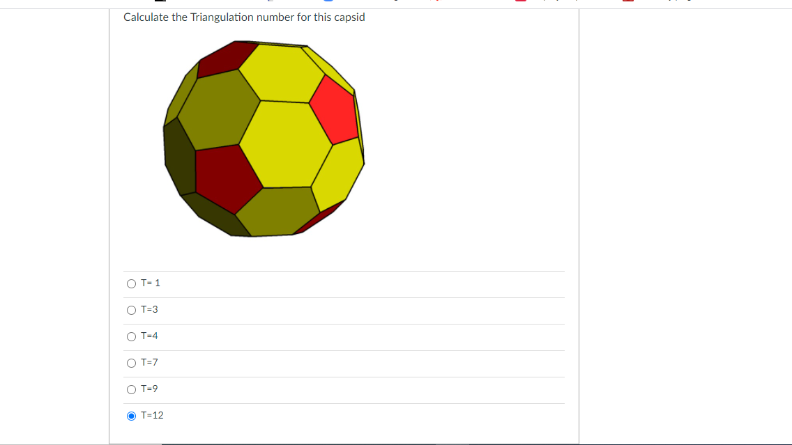 Solved Calculate the Triangulation number for this capsid | Chegg.com