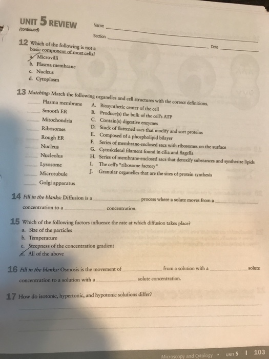 Solved UNIT 5 REVIEWa (continued) Section 12 Which of the | Chegg.com