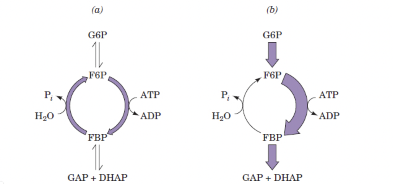Solved (a) (6) G6P G6P 1 F6P F6P Pi ATP Pi ATP H2O ADP H2O | Chegg.com