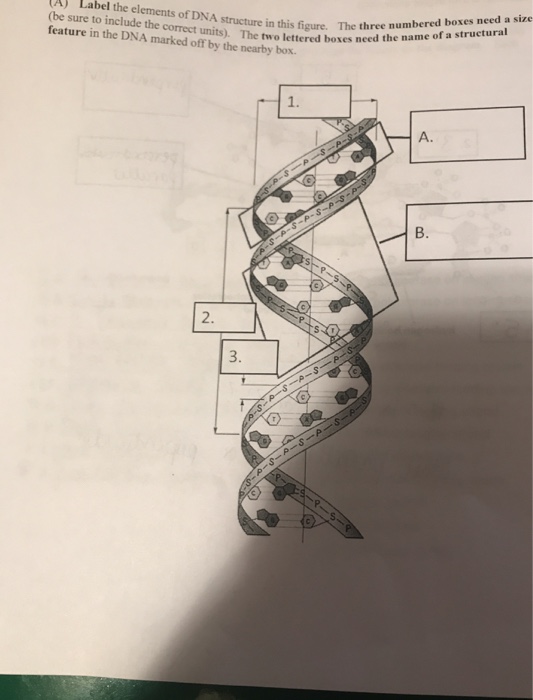 Solved (be sure to include the correct units). The two | Chegg.com