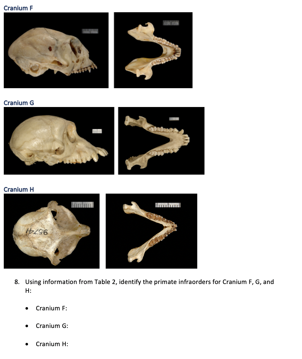 4. Fill in Table 1 based on your observations of | Chegg.com