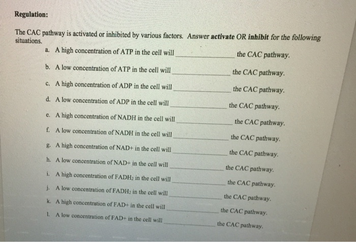 Solved Regulation: The CAC pathway is activated or inhibited | Chegg.com