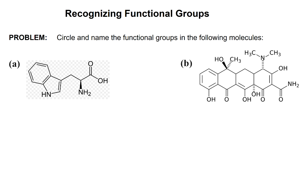 Solved RECOGNIZING FUNCTIONAL GROUPS Circle and name the | Chegg.com