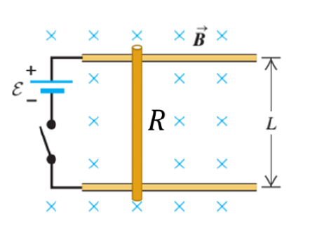 Solved Two parallel metal bars, horizontal and L = 20 cm | Chegg.com