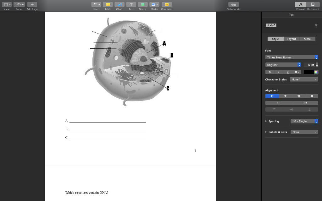 Solved 126% + Zoom Add Page E Format Document View Insert | Chegg.com