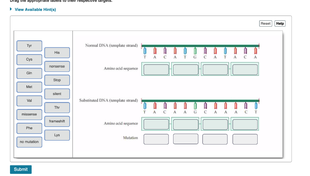 Week 14- Chapter 21 Homework Genetic Mutations: | Chegg.com
