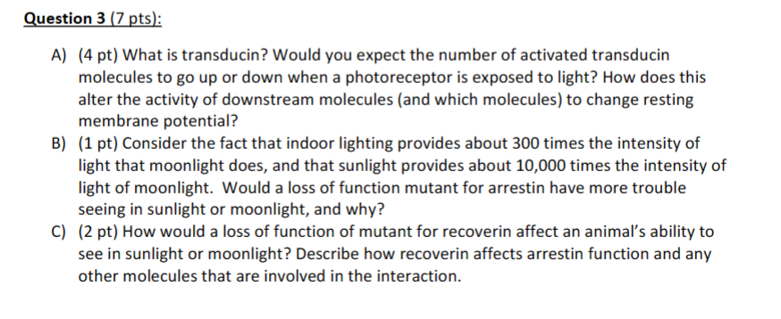 Solved A) (4 pt) What is transducin? Would you expect the | Chegg.com