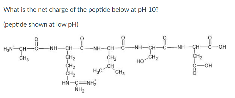 Solved What is the net charge of the peptide below at pH 10? | Chegg.com