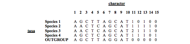 Solved 2) Given below is a character by taxon data matrix | Chegg.com