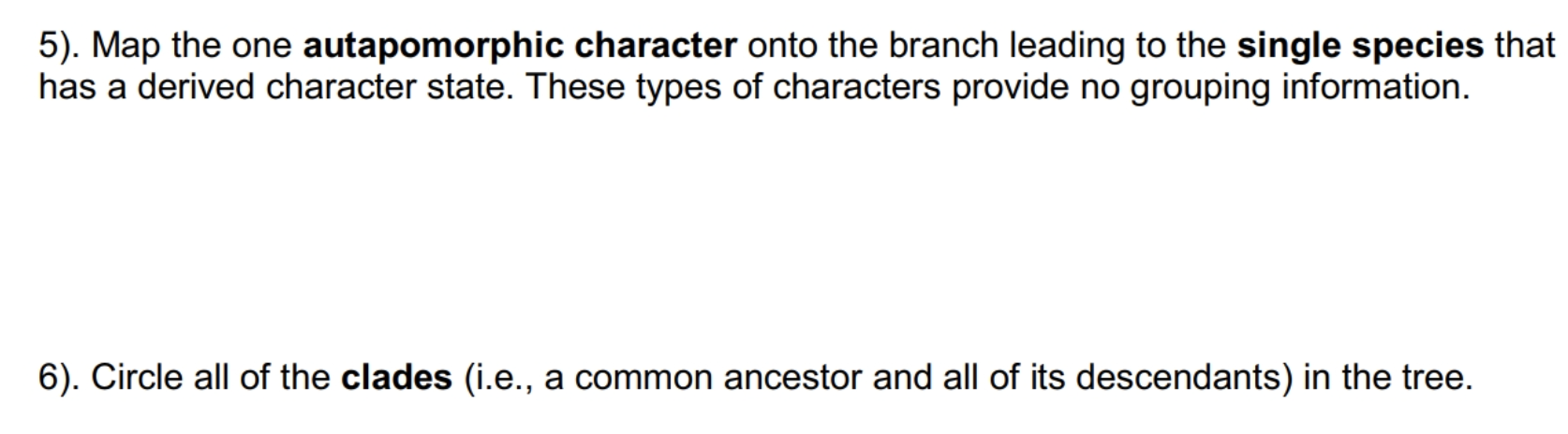 Solved 5 OG 17 18 7 15 5). Map the one autapomorphic | Chegg.com