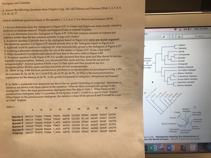 Phylogeny and Cladistics: Answer the following | Chegg.com