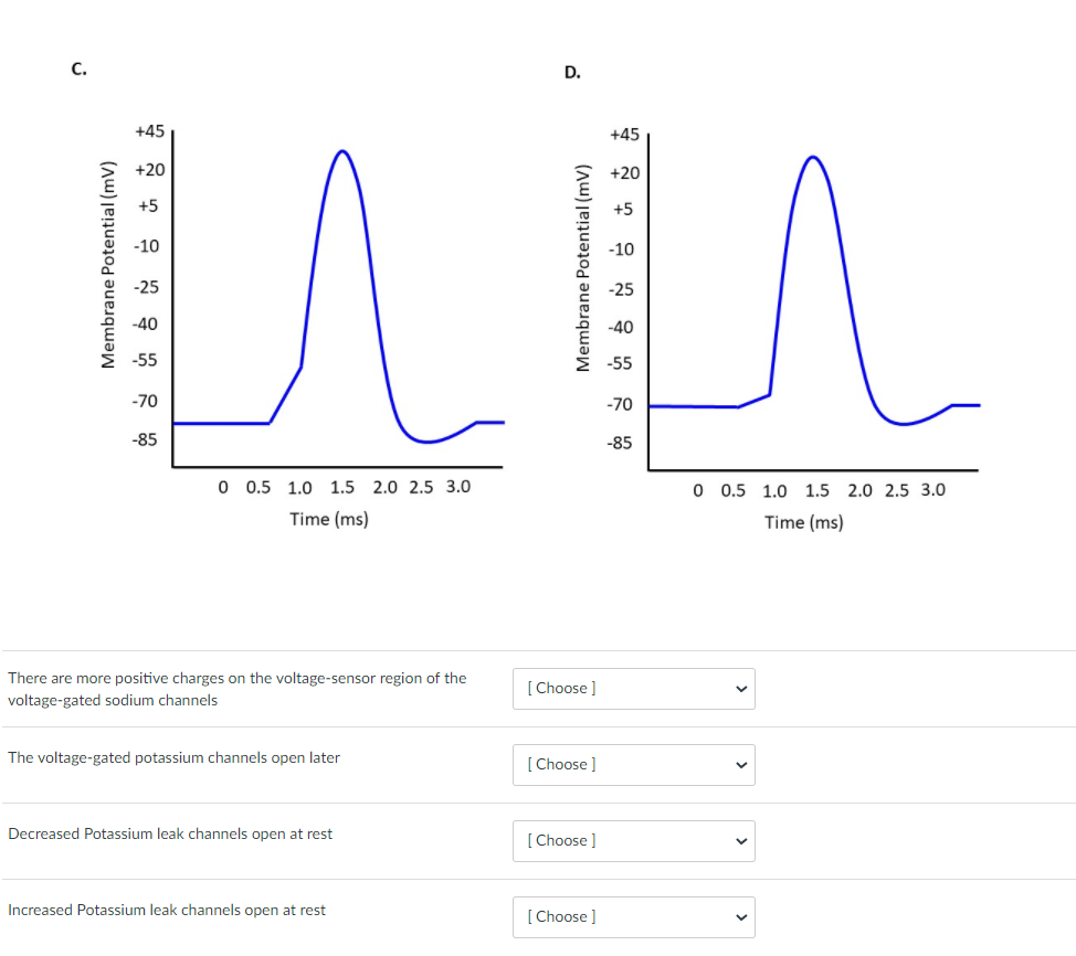 Solved Below are 4 separate graphs showing a representative | Chegg.com