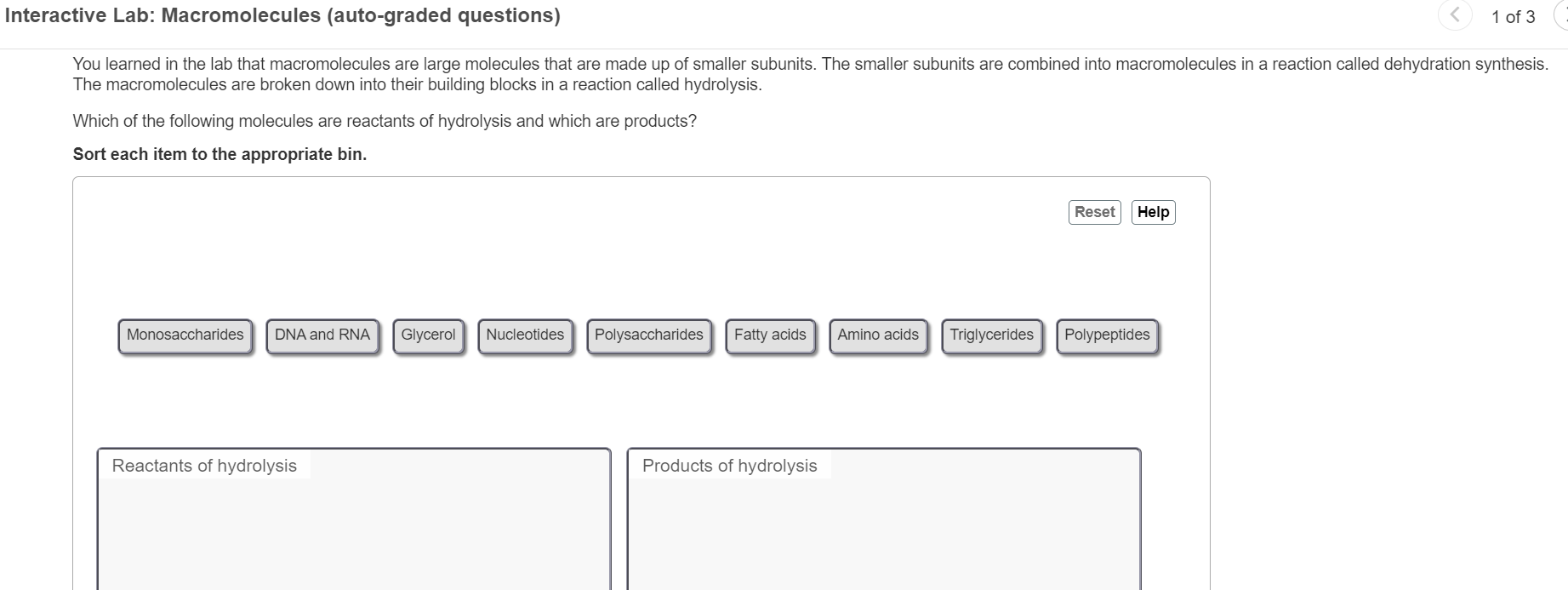 Solved teractive Lab: Macromolecules (auto-graded questions) | Chegg.com