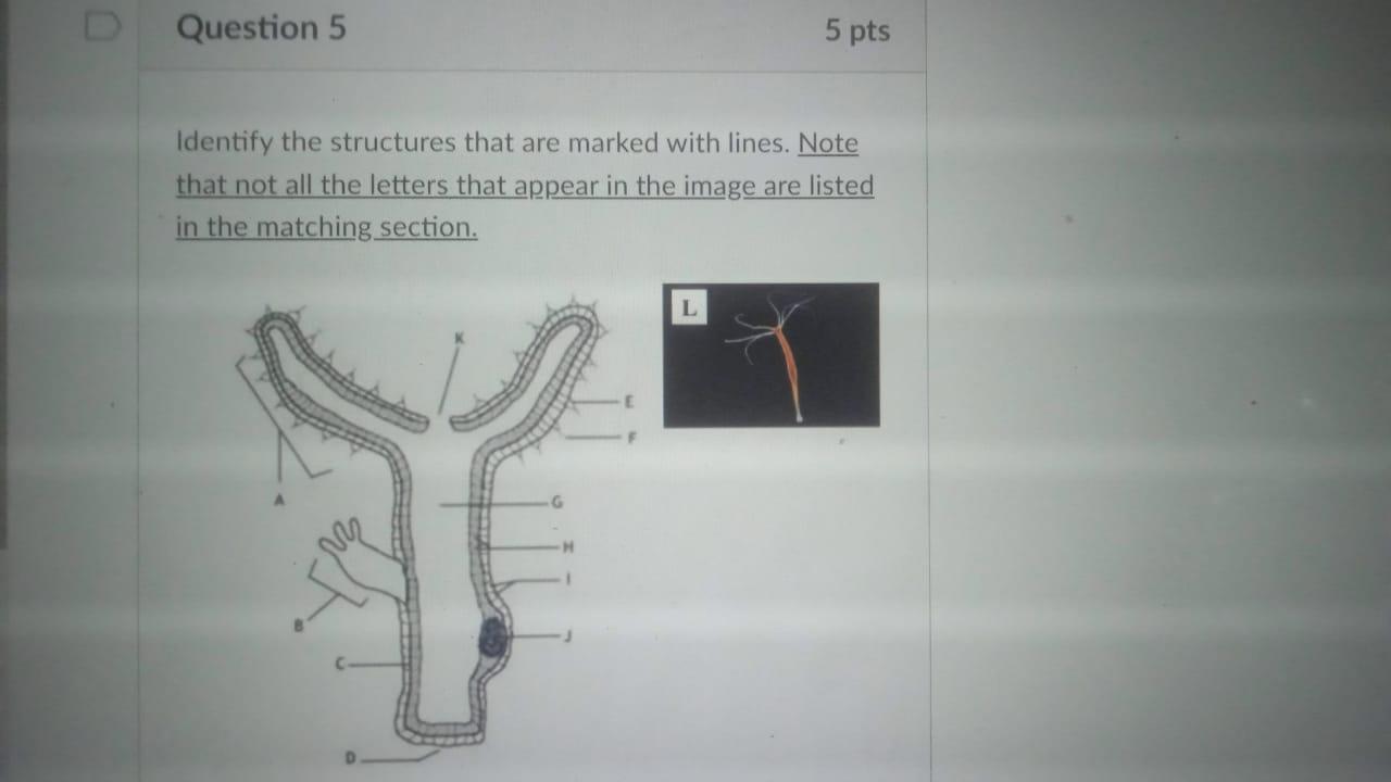 Solved I need ans within 10 minutes if I find ans I will | Chegg.com