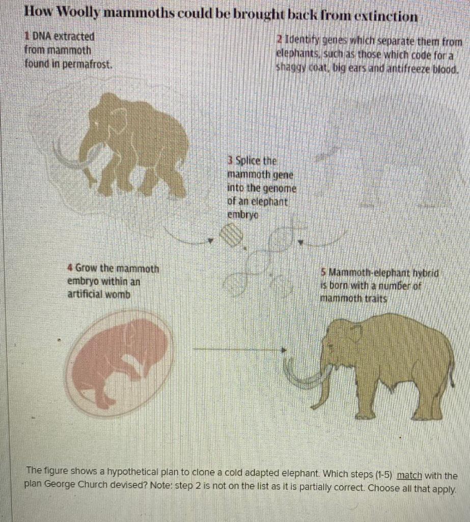 Solved llow Woolly mammoths could be brought back from | Chegg.com
