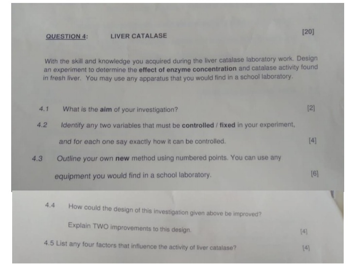 With the skill and knowledge you acquired during the | Chegg.com