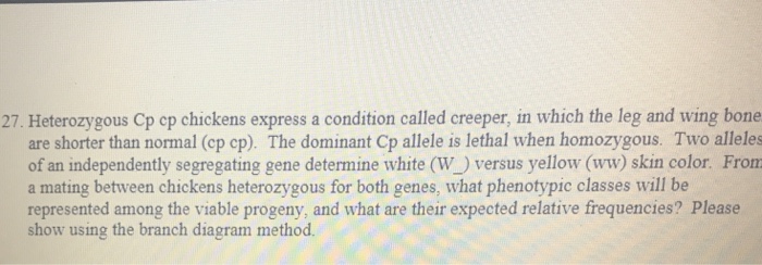 Solved 27. Heterozygous Cp cp chickens express a condition | Chegg.com