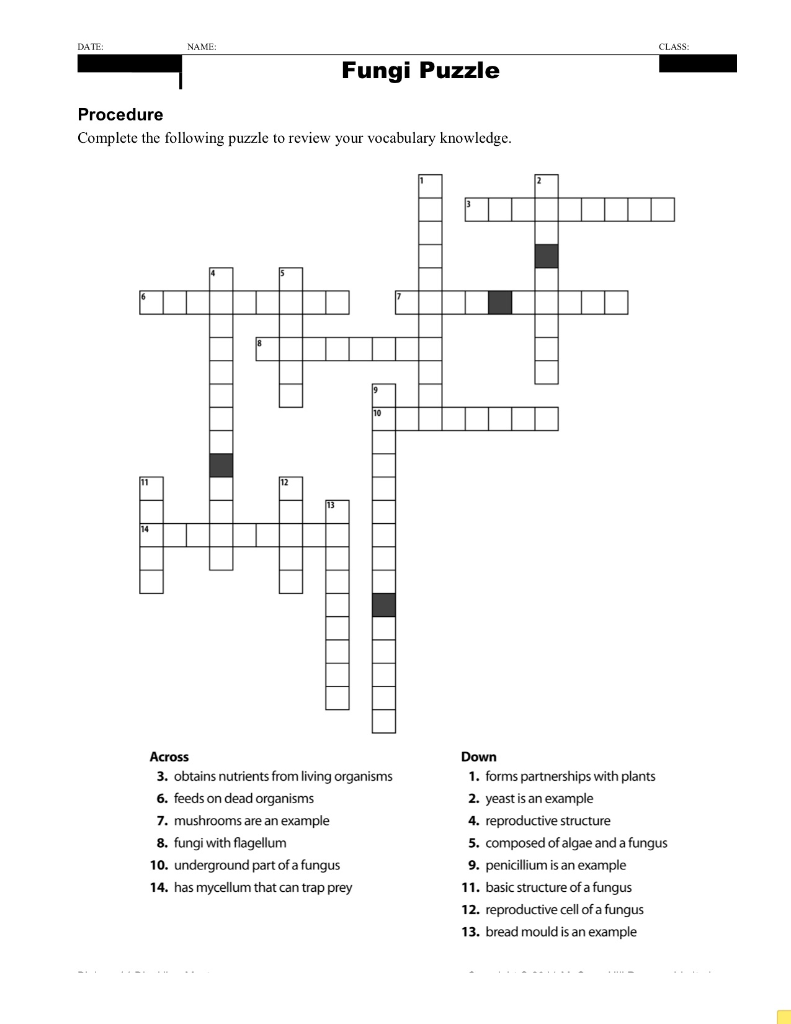 Solved CLASS DATE: NAME Fungi Puzzle Procedure Complete the | Chegg.com