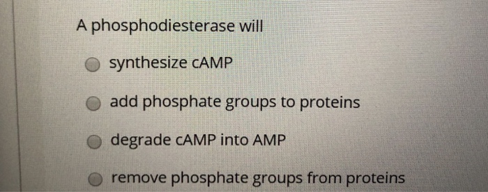 Solved A phosphodiesterase will synthesize CAMP add | Chegg.com