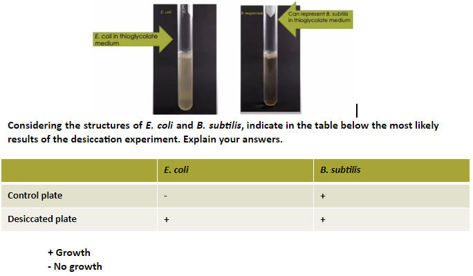 Solved Con represent subis in thioglycolate medium E. colin | Chegg.com