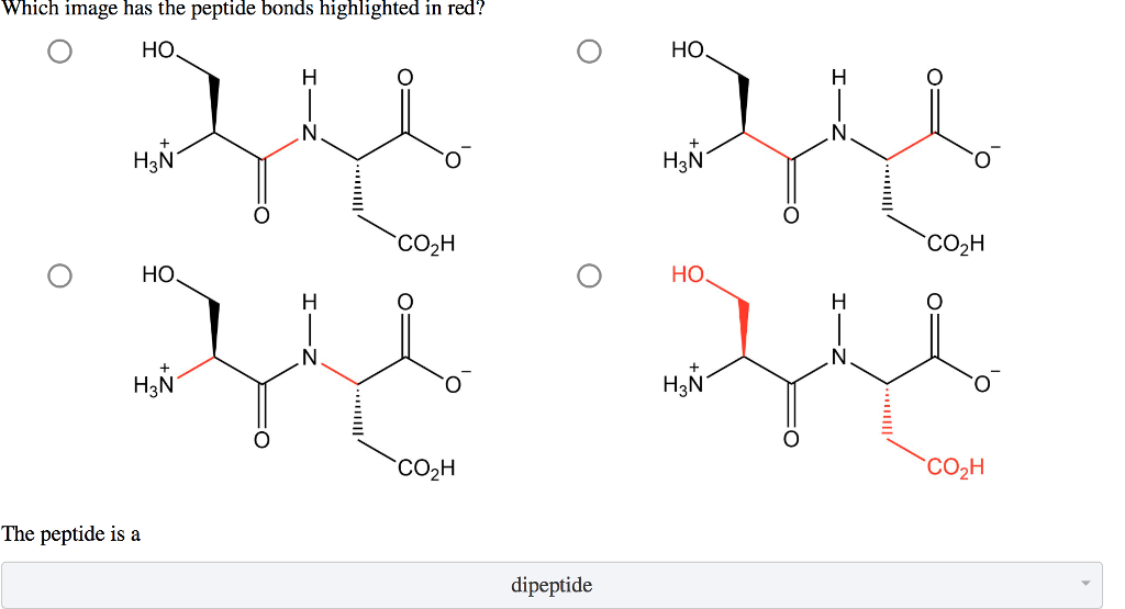 Solved Classify the structure and identify the peptide | Chegg.com