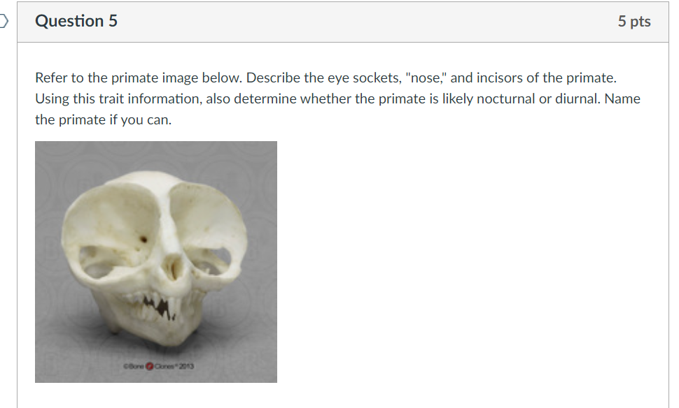 Solved > Question 5 5 pts Refer to the primate image below. | Chegg.com