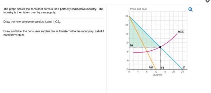 Solved The graph shows the consumer surplus for a perfectly | Chegg.com