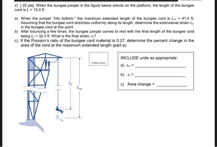 Solved When the bungee jumper in the figure below stands on | Chegg.com