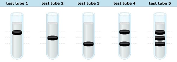 Semiconservative Replication Test Tube