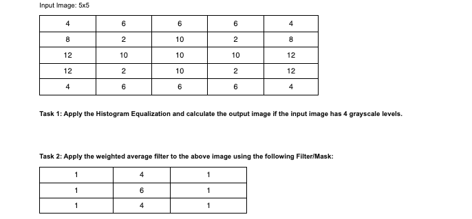 Solved Input Image: 5×5 Task 1: Apply the Histogram | Chegg.com