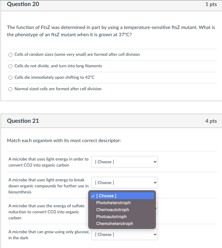 Solved Question 20 1 pts The function of FtsZ was determined | Chegg.com