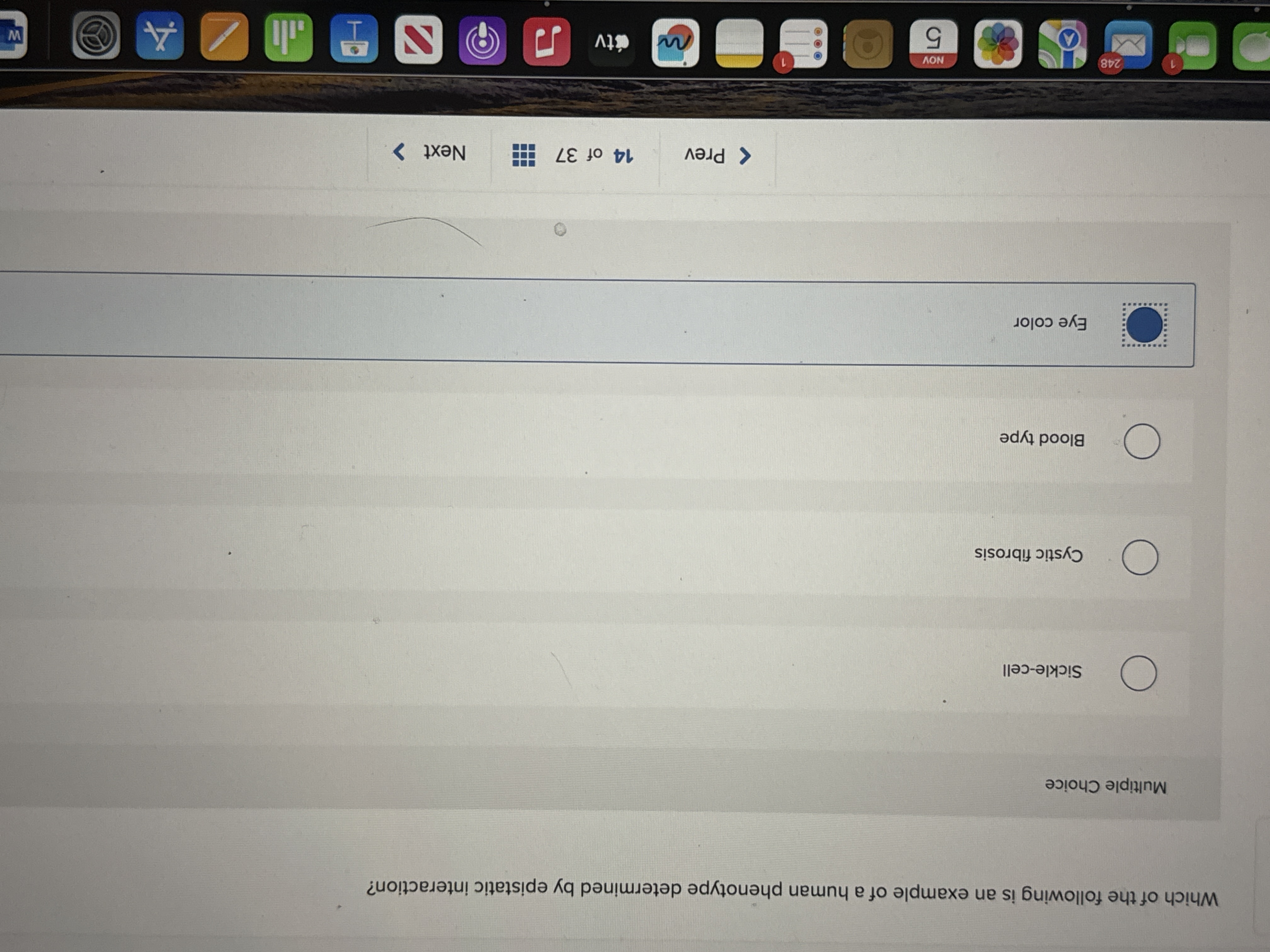 Solved Which of the following is an example of a human | Chegg.com