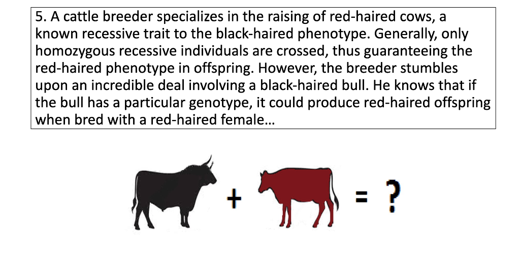 Solved 5. A cattle breeder specializes in the raising of | Chegg.com