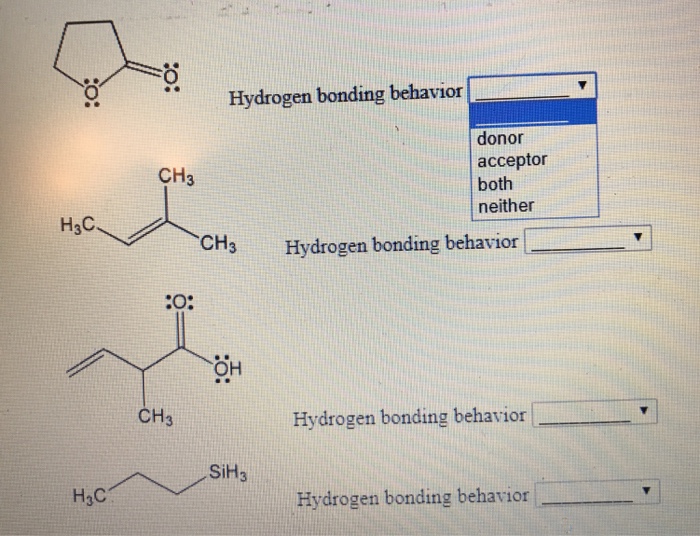 Solved Specify the hydrogen bonding behavior of the 4 | Chegg.com