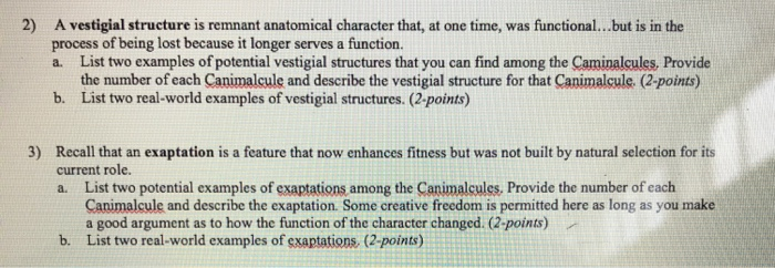 Solved LIVING CAMINALCULES FOSSIL CAMINALCULES (numbers in | Chegg.com