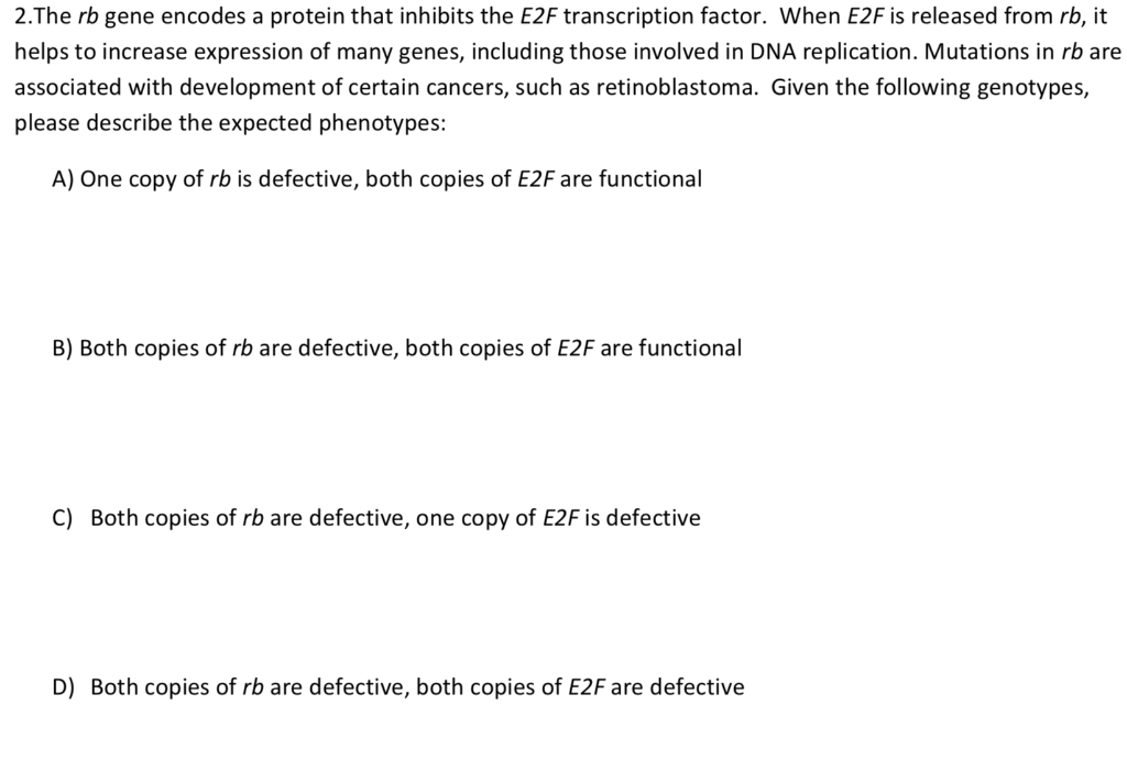 Solved 2.The rb gene encodes a protein that inhibits the E2F | Chegg.com
