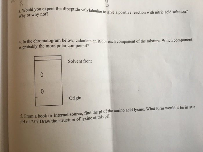 Solved Would you expect the dipeptide valylalanine to give a | Chegg.com