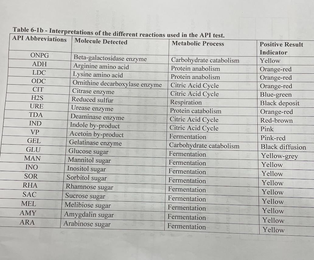 Solved A little bit of background information about API | Chegg.com